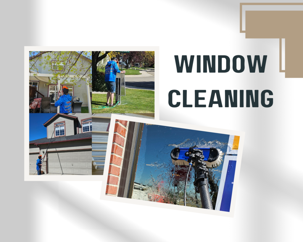 Window Cleaning 101: How to Achieve Crystal-Clear Windows Like a Pro ...